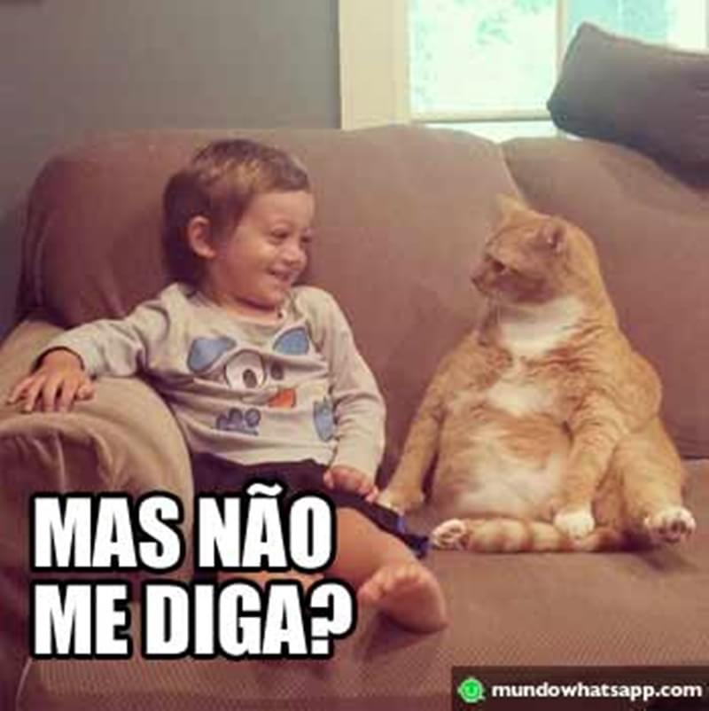 35 Memes Para Você Usar No Whatsapp Em Diversas Situações Tecmundo