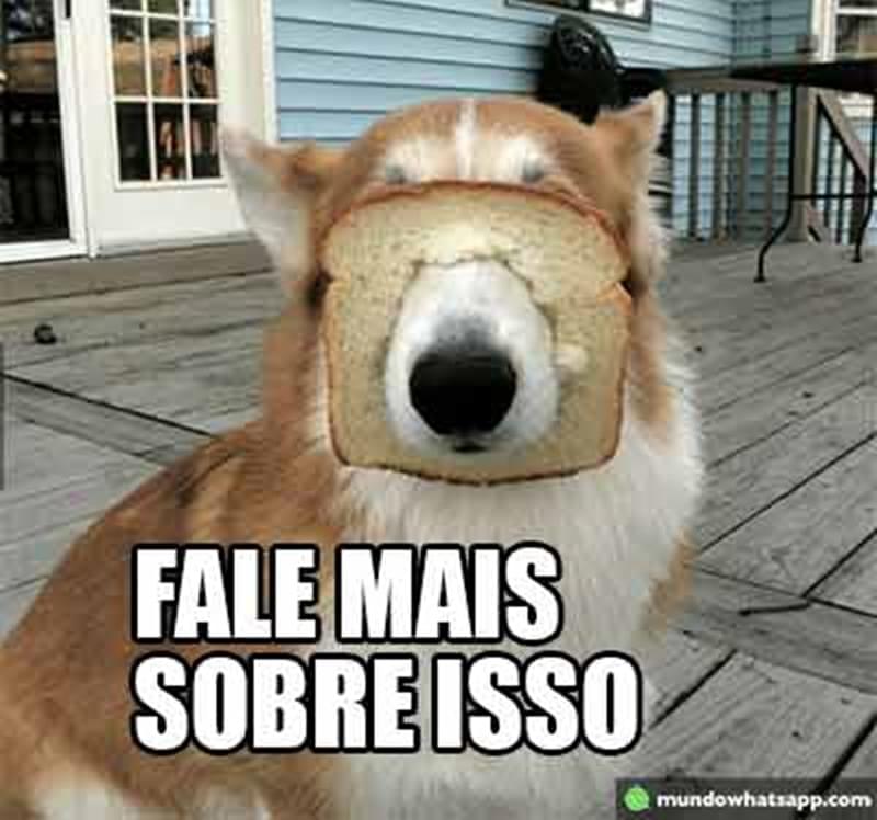 35 Memes Para Você Usar No Whatsapp Em Diversas Situações Tecmundo