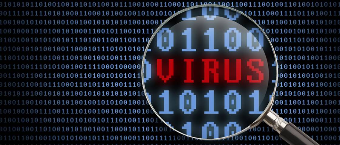 Conheça 6 curiosidades, mitos e verdades sobre vírus de computador ...