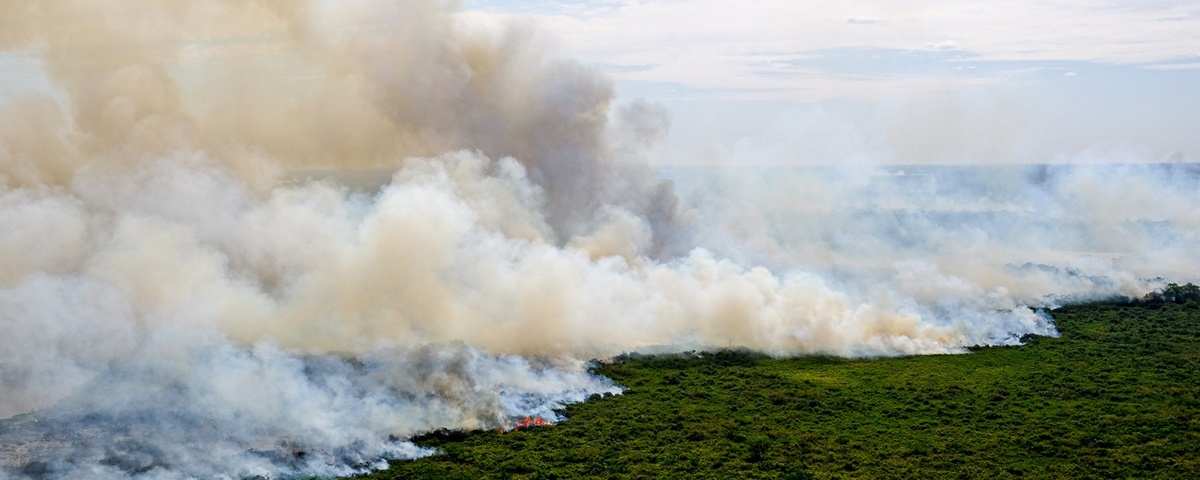 Fumaça dos incêndios no Pantanal cruza o país e atinge o Sul - TecMundo