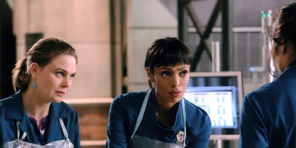 Bones: por onde anda o elenco da série policial? | Minha Série