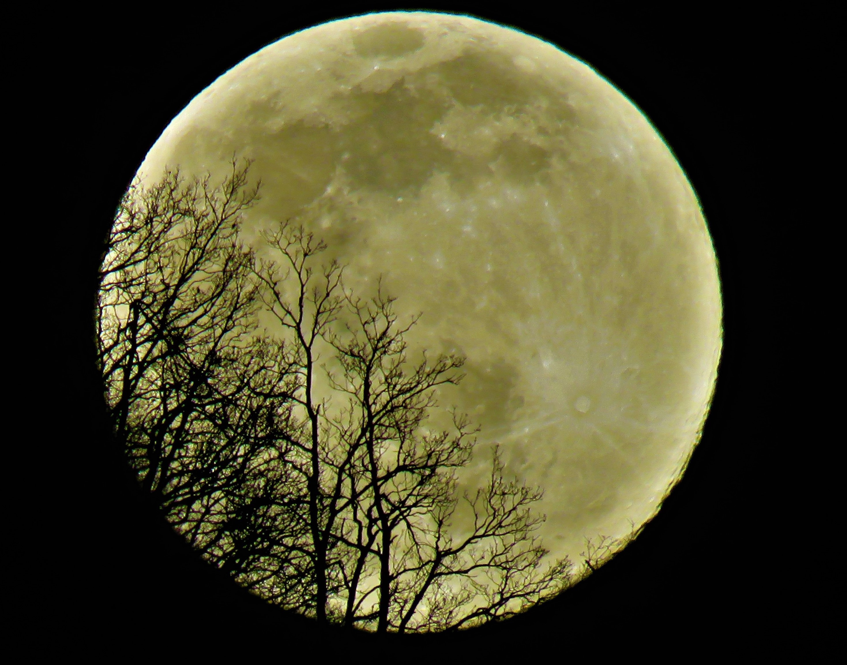 Verdadeira Lua Azul 2024 A Primeira “super Lua Azul” Do Ano Em